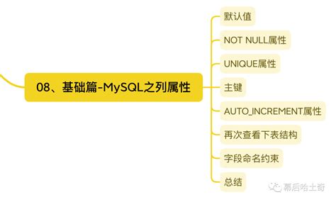 08｜第八话：基础篇 mysql之列属性 极客之音