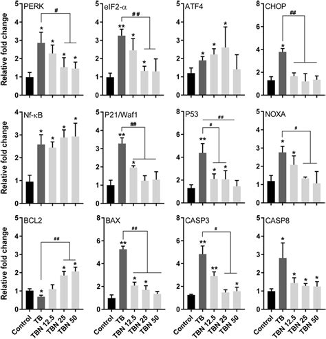 Relative Fold Change Determined By Quantitative Real Time PCR QRT PCR