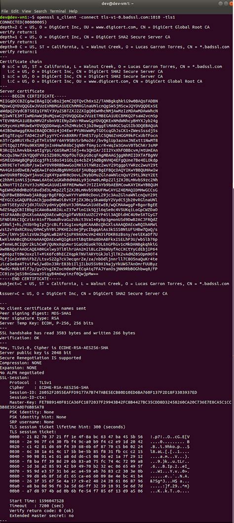 Command To Check Tls Version In Windows Server 2019 Printable Forms