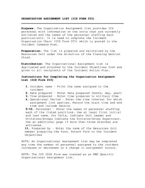 Fillable Online ORGANIZATION ASSIGNMENT LIST ICS FORM 203 Fax Email