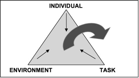 figure 1 from application of the dynamic systems theory to the elder population semantic scholar