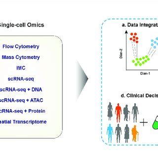 The Overview Of Single Cell Omics Techniques A The Overview Of