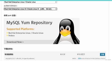 mysql的四种安装 dnf安装mysql csdn博客