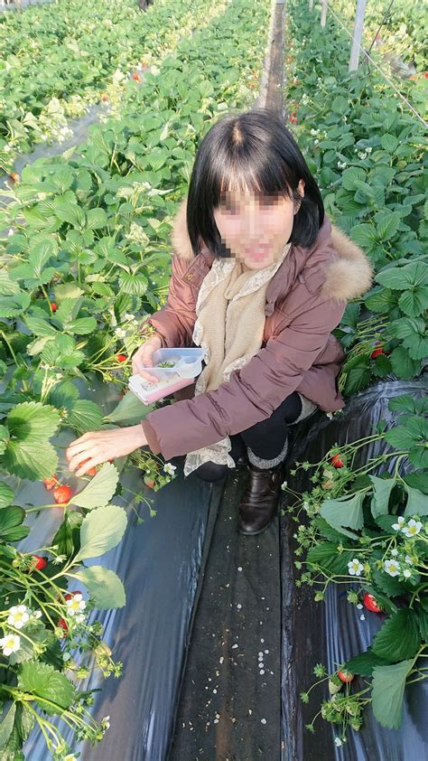 野外露出 画像投稿掲示板 投稿内容