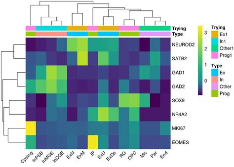 Chapter Heatmap Color Palette Single Cell Multi Omics Data Analysis