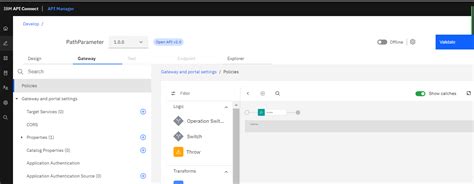 query and path parameters in ibm api connect