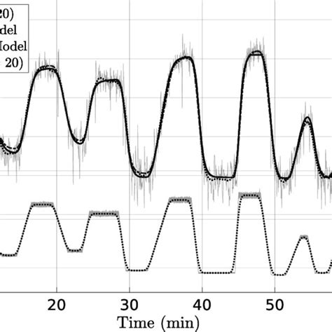 block diagram of hammerstein wiener model download high quality scientific diagram