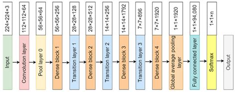 diagnostics free full text segmentation based classification deep learning model embedded