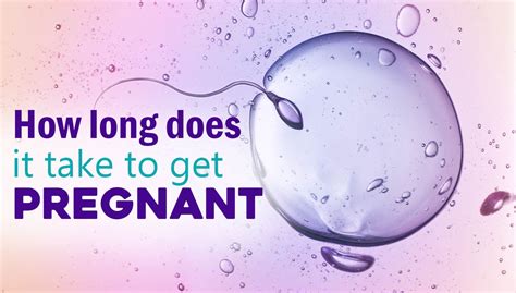 How Long Does It Take To Get Pregnant Womens Frame