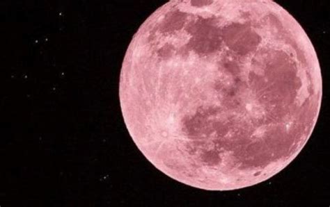Luna Rosa 2019 Abril Qué Es Significado Y A Qué Hora Ver Pink Moon Super Luna Por Semana Santa