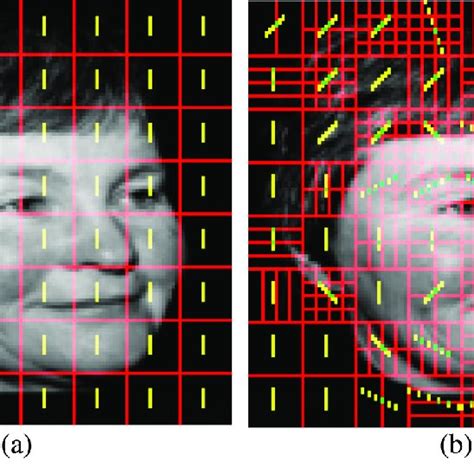 a sub block partitioning structure and the selected directions for download scientific