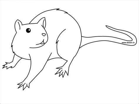 Mole Rat Coloring Pages Coloringbay