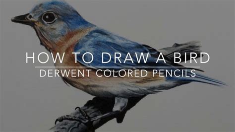 A Blue Bird Sitting On Top Of A Tree Branch With The Words How To Draw