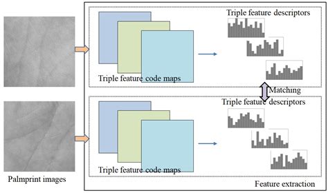 sensors free full text triple type feature extraction for palmprint recognition