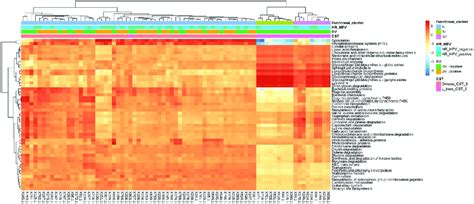 clustering of the predicted functional categories the spectral download scientific diagram