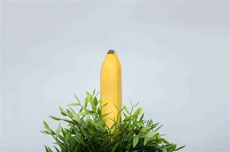 How To Get Harder And Stronger Erections For Better Sex