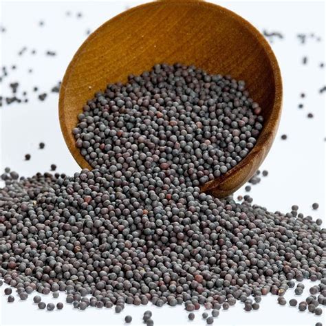 Jual ASLI Biji Sawi Hitam Black Mustard Seed Biji Sawi Hitam Black Mustard Seeds Kg