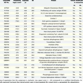 List Of Differentially Expressed Proteins Identified By Mass