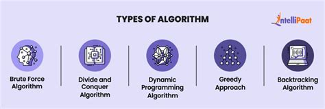 what is an algorithm the complete guide for beginners