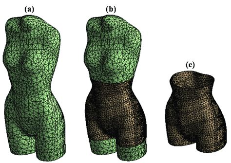 the 3d finite element meshed models a the human body model b the download scientific