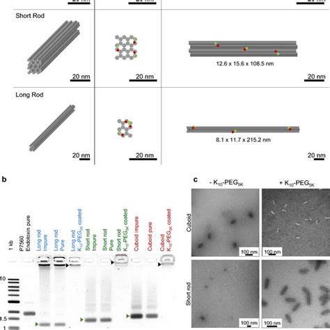 Structural Characterization Of The DNA Origami Nanostructures And