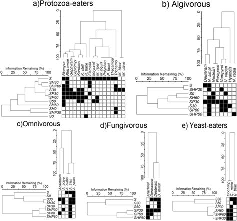 Two Way Hierarchical Cluster Analysis Of The Different Trophic Guilds