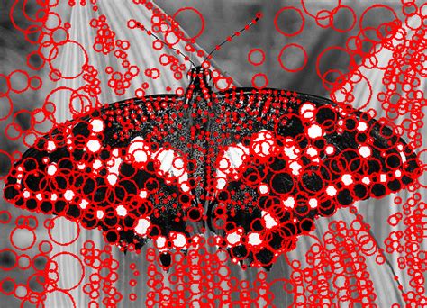 blob detection and connected components — image processing by matt maulion medium