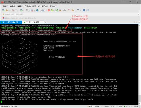 redis入门 适合新手 redis cli怎么启动 csdn博客