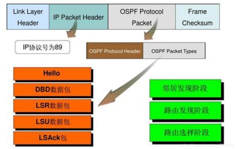 ospf路由协议详解 ospf路由表详解 csdn博客