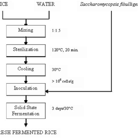 Cooking Rice Flowchart