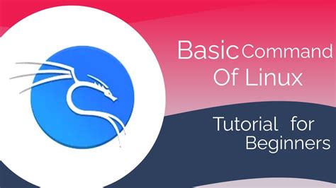 Kali Linux Basic Commands Kali Linux Tutorial For Beginners Linux