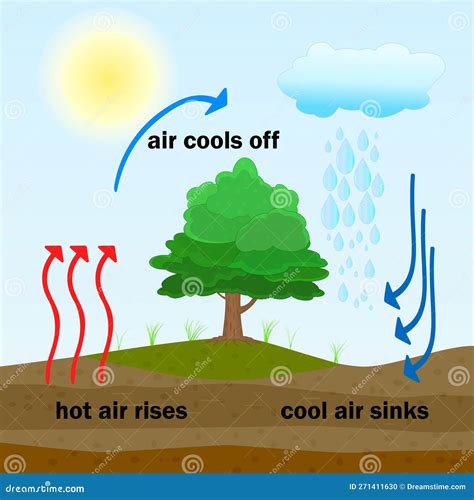 How Thermals Form Weather Diagram Cartoon Vector CartoonDealer