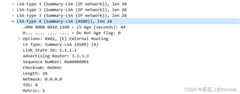 ospf四类，五类和七类lsa详解 4类lsa csdn博客