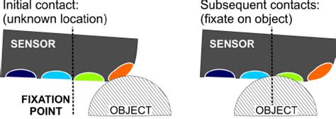 passive and active bayesian perception a passive bayesian perception download scientific