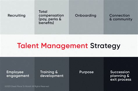 What Is Talent Management Definition Strategy Processes And Models