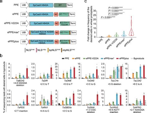 EPPEplus For Improvement Of Prime Editing Efficiency A Representation