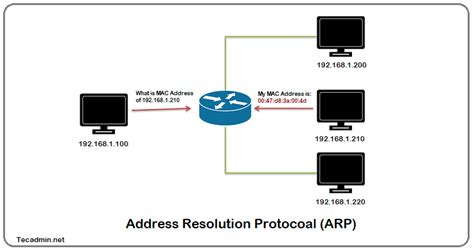 Apa Itu Address Resolution Protocol ARP Emka Web Id