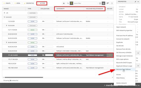 Managing Failover Relationships For Microsoft DHCP Services Micetro
