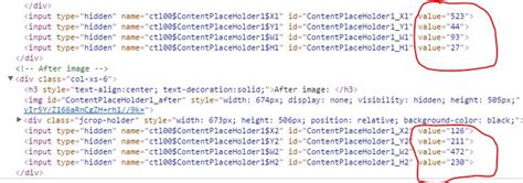javascript value from hidden field in panel asp has empty value after link button click