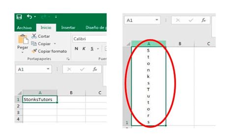 Escribir en vertical en Excel Cómo lograrlo Stonkstutors