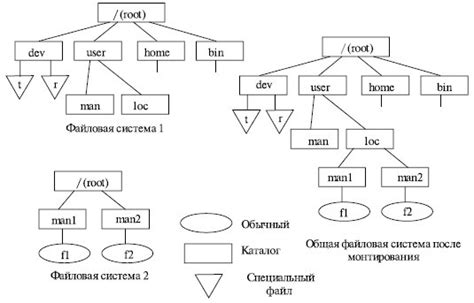 Физическая организация файловой системы кратко