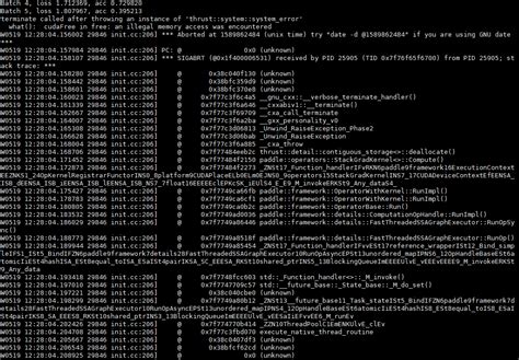 CudaFree In Free An Illegal Memory Access Was Encountered Issue