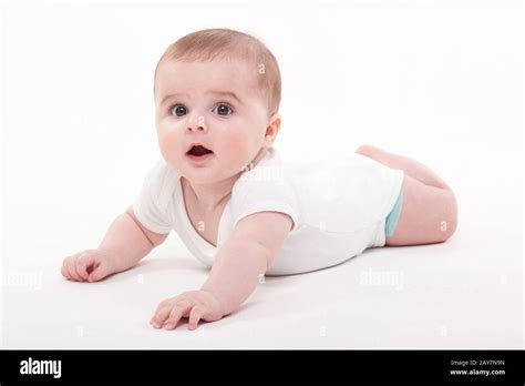 Baby In The Body Lying On His Stomach On A White Background And Stock