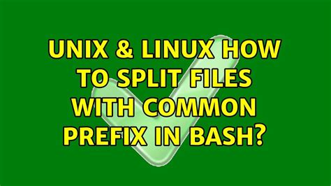 unix and linux how to split files with common prefix in bash 2 solutions youtube