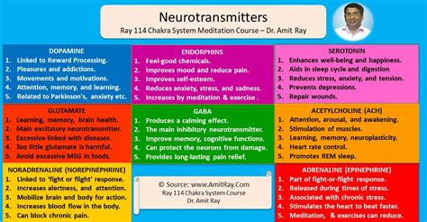 Dopamine Neurotransmission