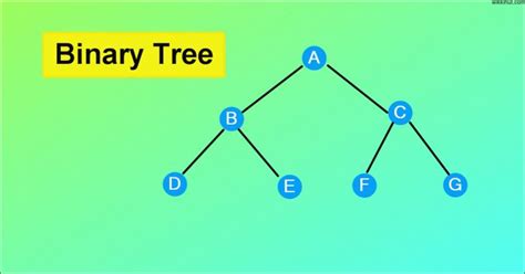 what is binary tree types of binary trees with c program wikkihut