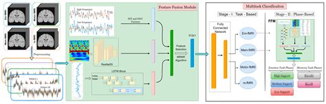 sensors free full text diverse task classification from activation patterns of functional