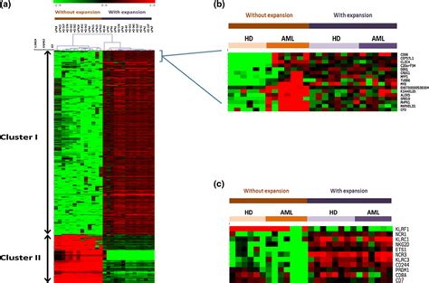 Heatmap Of Gene Expression Changes In AML Patients Versus Donors With