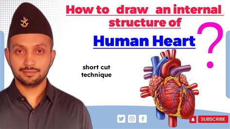 HEART DIAGRAM How To Draw An Internal Structure Of Human Heart