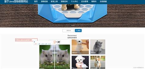 java计算机毕业设计宠物销售网站（附源码、数据库） 基于java的宠物商品销售网站的设计与实现 csdn博客